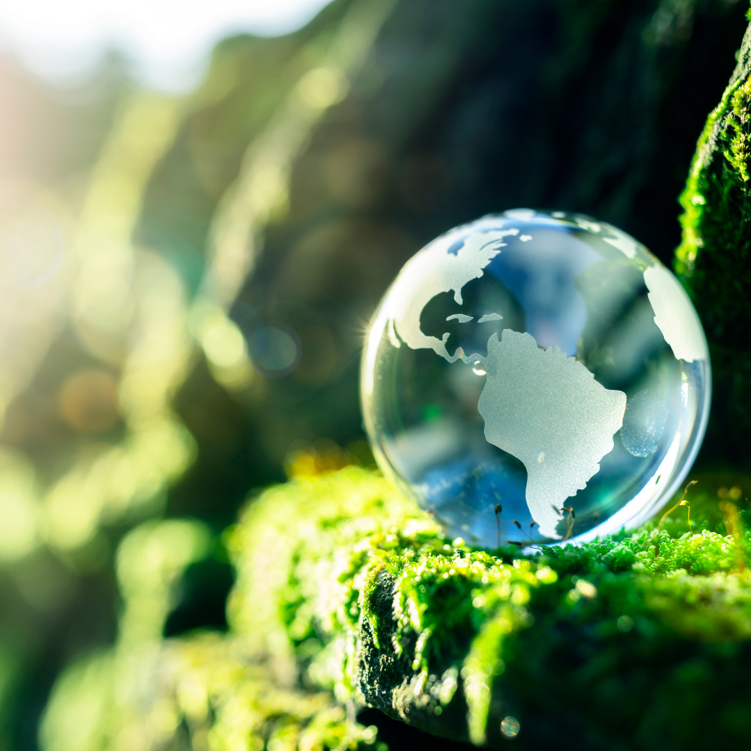 Proactive Environmental Consulting - CKH Group